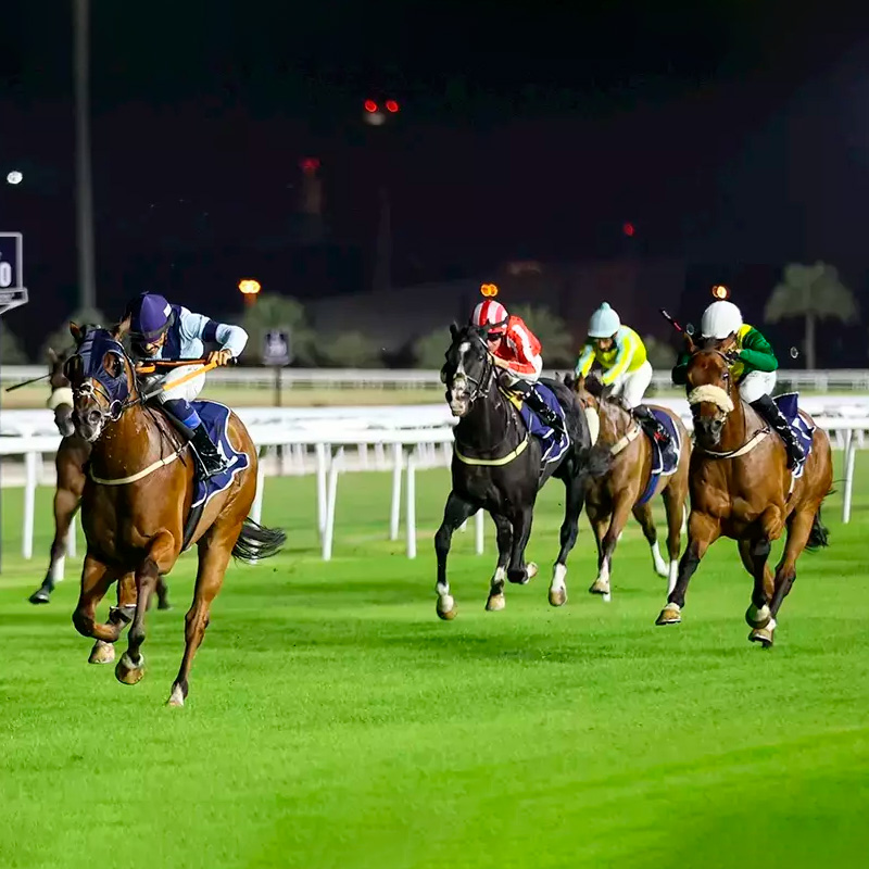 Bahrain Turf Club Racing Season 2025 26 - Bahrain This Month