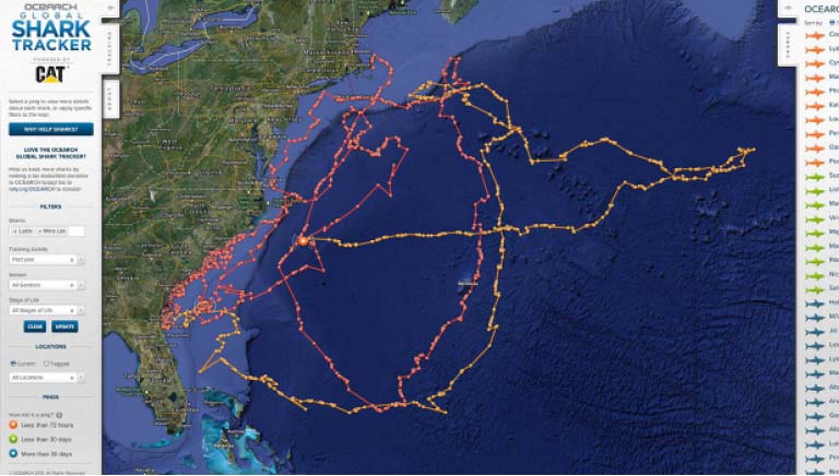 January 2020 Website Reviews: DIY, Shark Tracking and xkcd - Bahrain ...